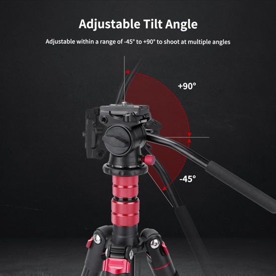 GetUSCart- Avella Tripod Fluid Head Pan Tilt Head with Arca Type Quick ...