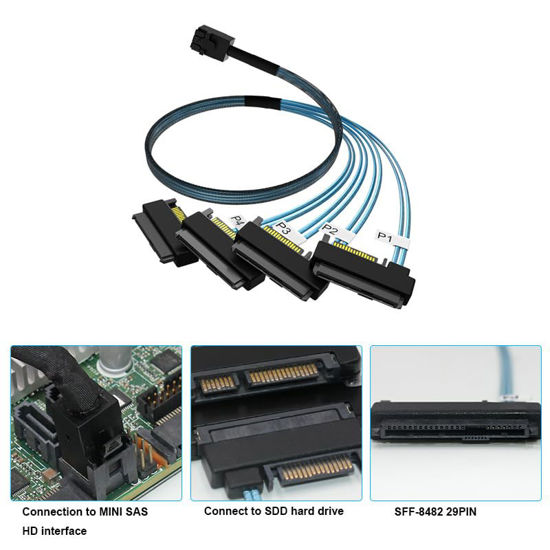 GetUSCart- OIKWAN SFF-8643 Internal Mini SAS HD to (4) 29pin SFF-8482 connectors with SAS 15pin ...