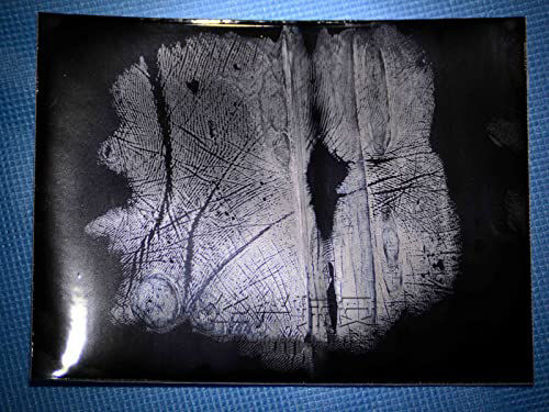 GetUSCart- CSI Fingerprint/Palmprint Gel Lifters, Picking Up Latent ...