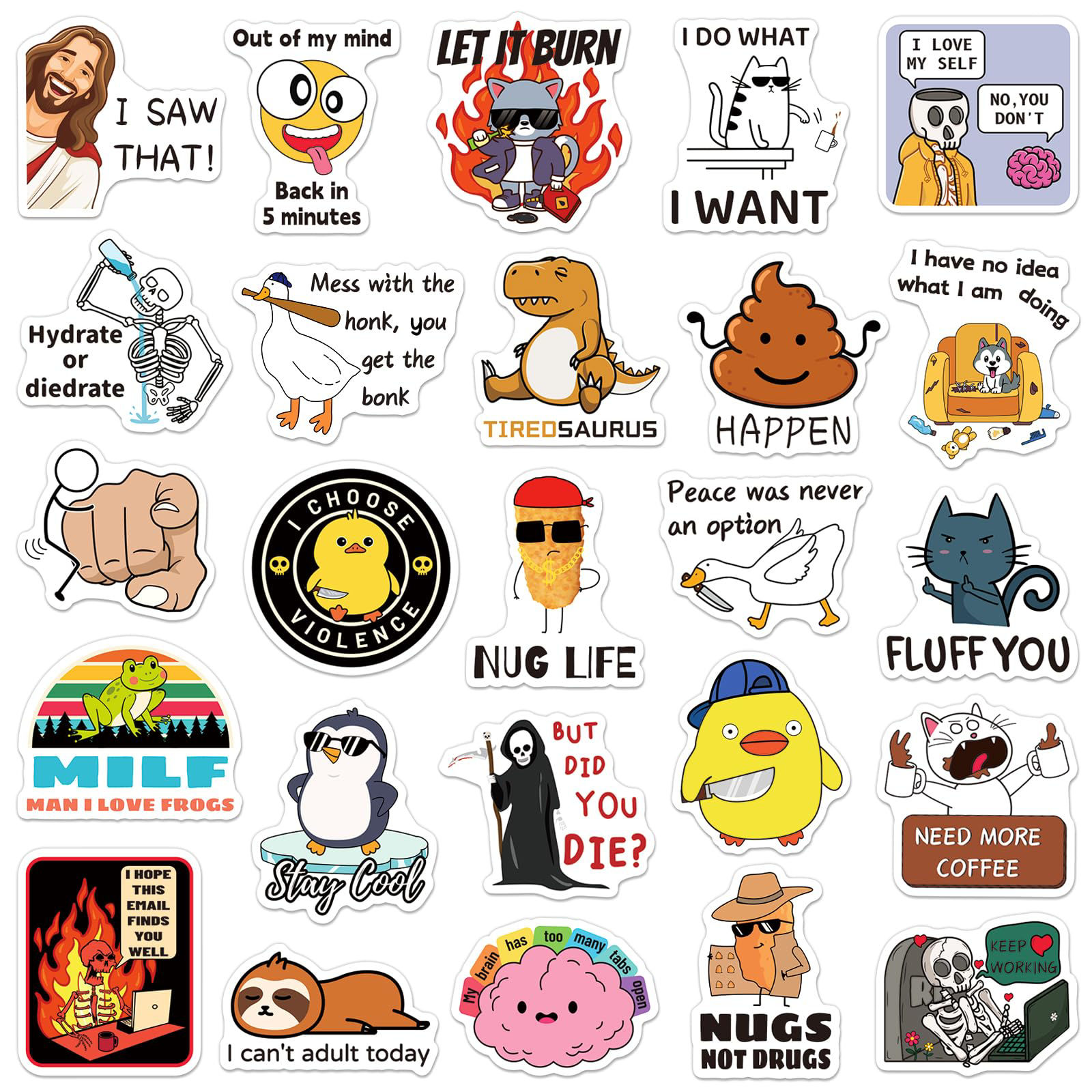 GetUSCart- SigyoJeom 200PCS Funny Meme Stickers for Adults, Prank ...