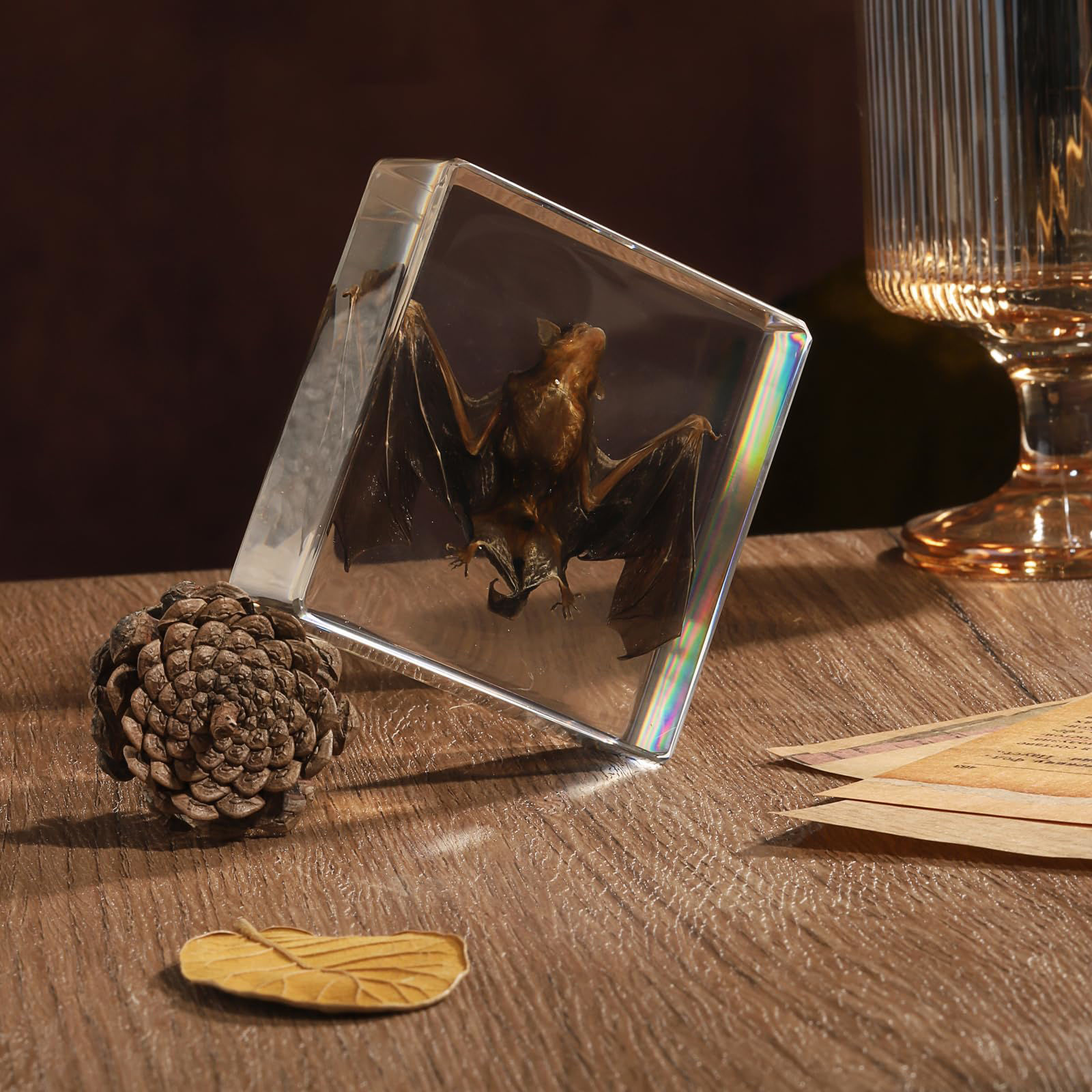 GetUSCart- Taxidermy Bat, Real Bat Specimens Animal Specimen in Resin ...