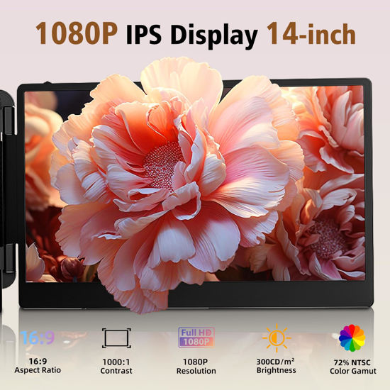 GetUSCart- ROYY Laptop Screen Extender Dual Monitor - 14" Portable ...