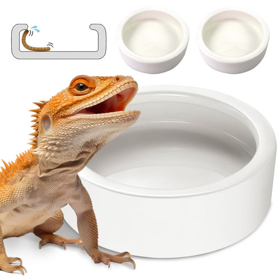 GetUSCart- Reptile Food Dish Bowl, Worm Water Dish Small (2.75in ...