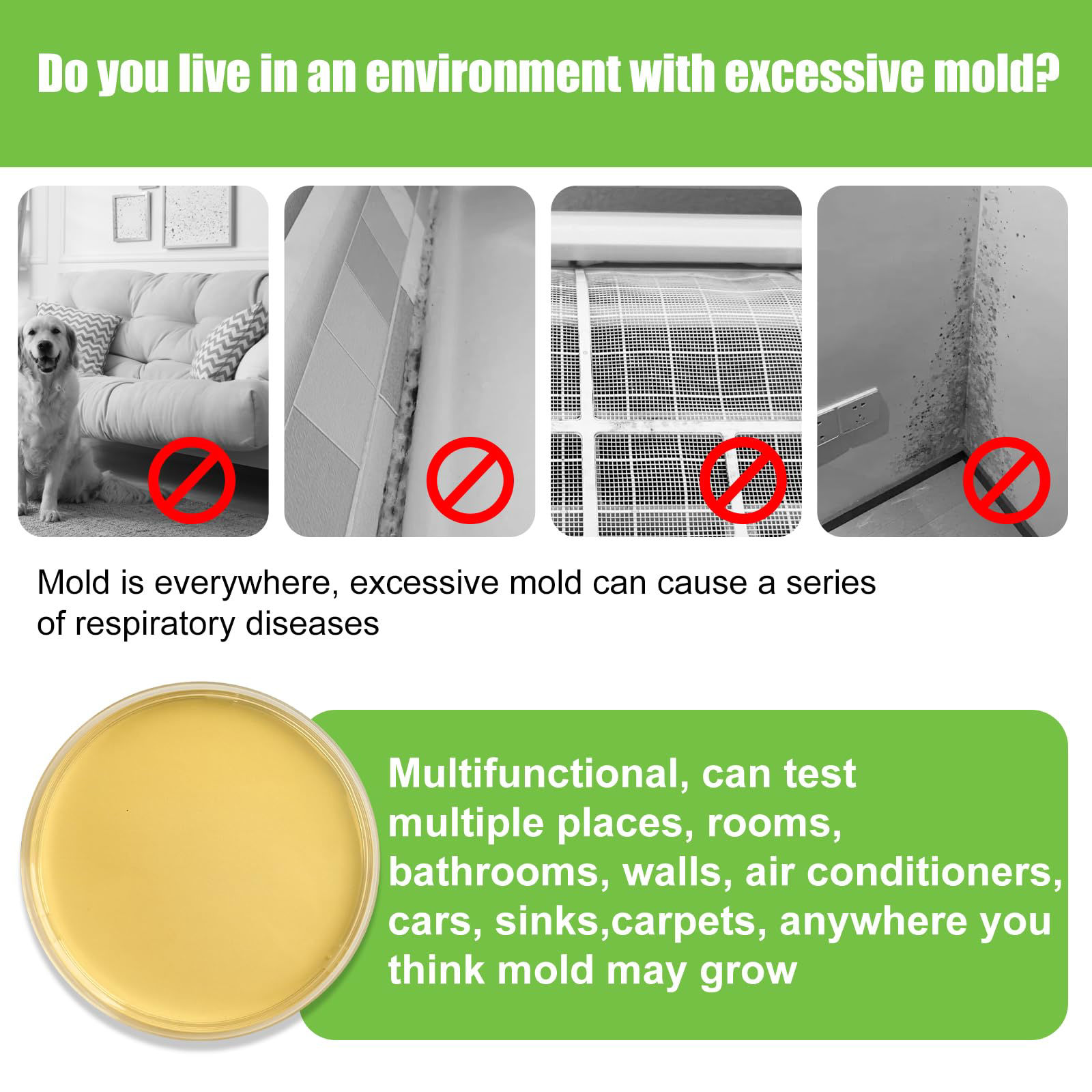 GetUSCart- Mold Test Kit for Home - 6 Simple Detection Tests,Test HVAC ...