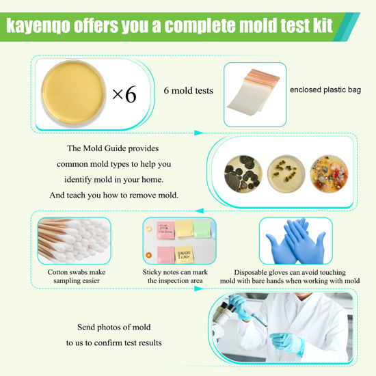 GetUSCart- Mold Test Kit for Home - 6 Simple Detection Tests,Test HVAC ...