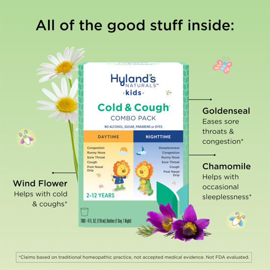 GetUSCart- Hyland's Kids Cold and Cough, Day and Night Combo Pack, Cold ...