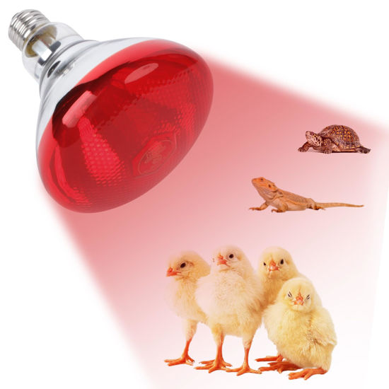 GetUSCart- REPTI HOME 250W Red Heat Lamp Bulbs for Chicken,Infrared ...