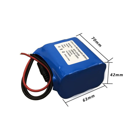 GetUSCart- Seasider 12V 10000mAh Rechargeable Lithium Battery Pack ...