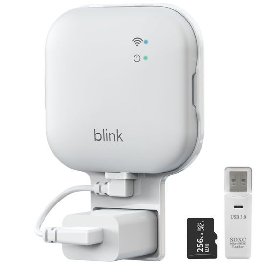 GetUSCart- 256GB MicroSD Card and All-New Blink Sync Module XR Mount ...