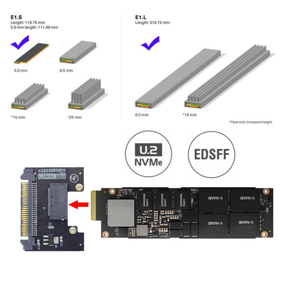 GetUSCart- cablecc SFF-8639 U.2 Host Adapter to NVMe Ruler 1U GEN-Z EDSFF Short SSD P4511 E1.S ...