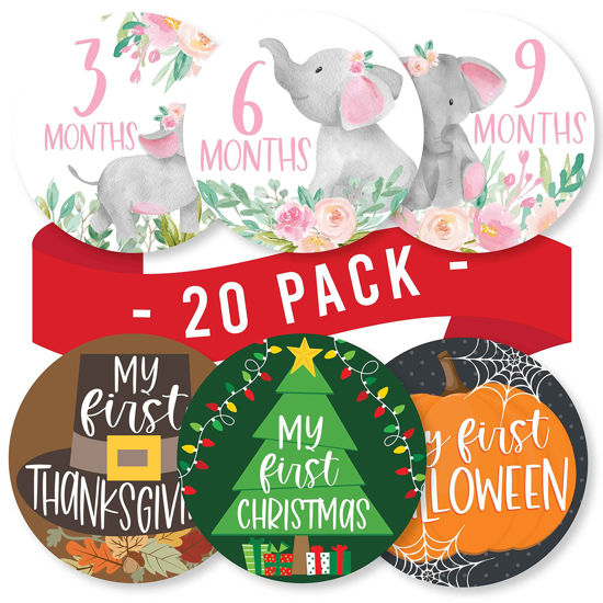 GetUSCart- 20 Monthly Baby Milestone Stickers Girl - Elephant Baby ...