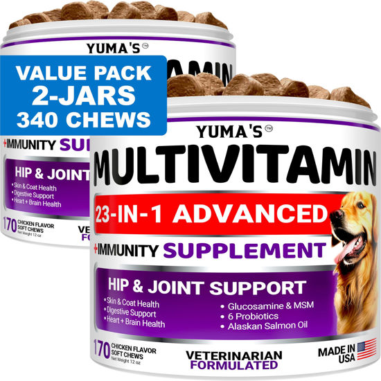 GetUSCart- 2-Pack Dog Multivitamin Chewable with Glucosamine - Dog ...