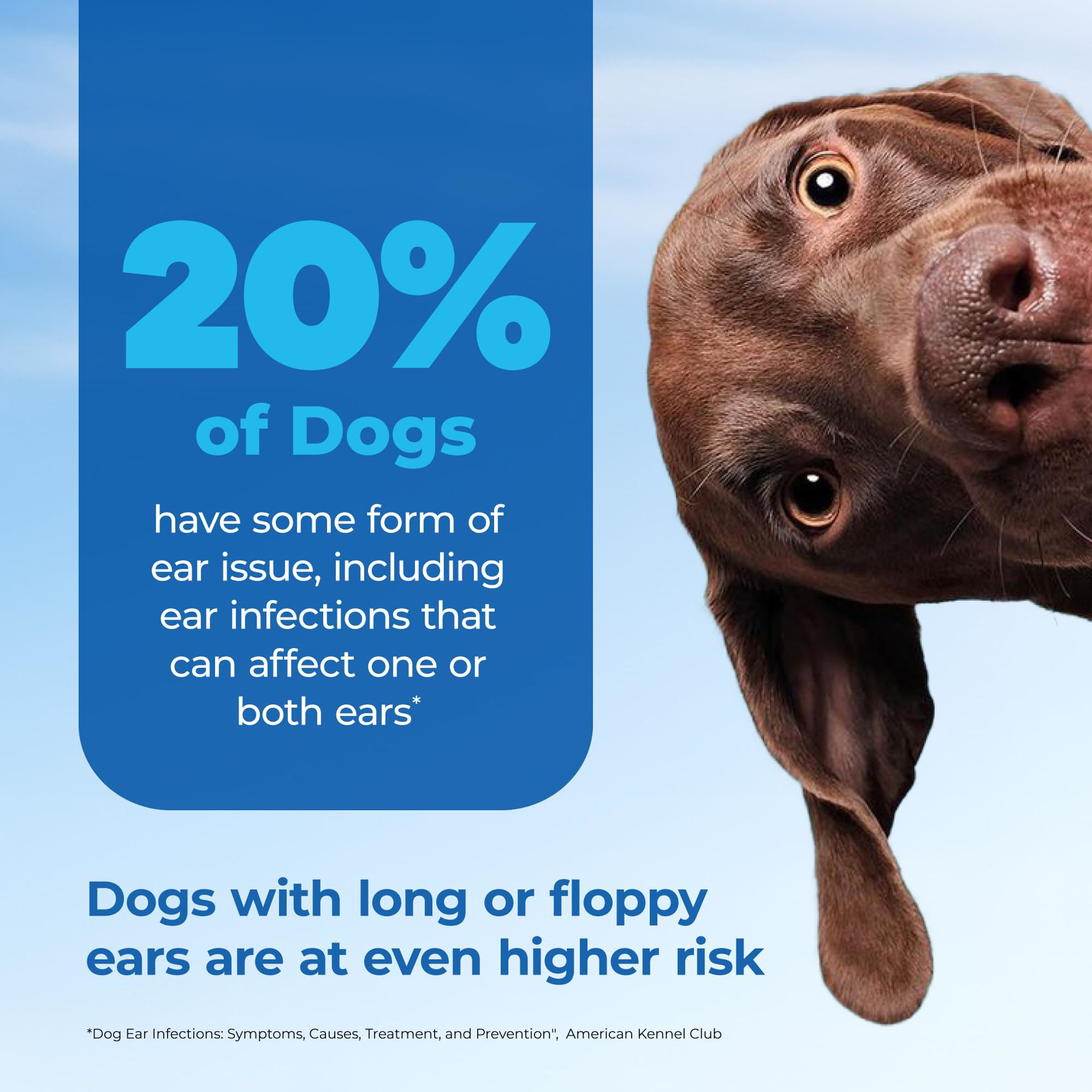 GetUSCart- Vetnique Oticbliss Medicated Dog Ear Infection Treatment ...