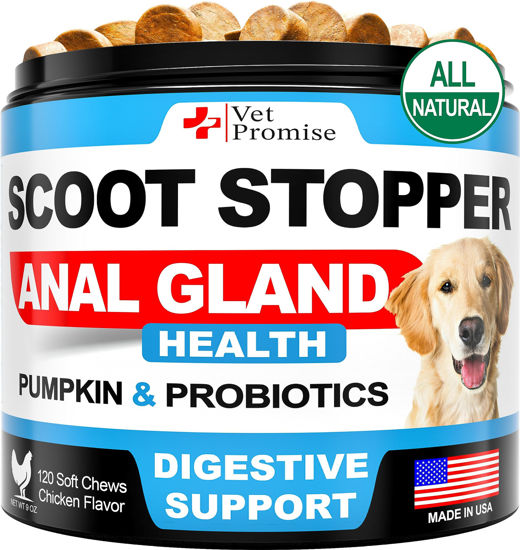 GetUSCart- Scoot Stopper - Anal Gland Support for Dogs and Bowel ...