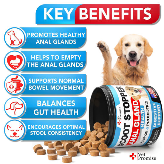 GetUSCart- Scoot Stopper - Anal Gland Support for Dogs and Bowel ...