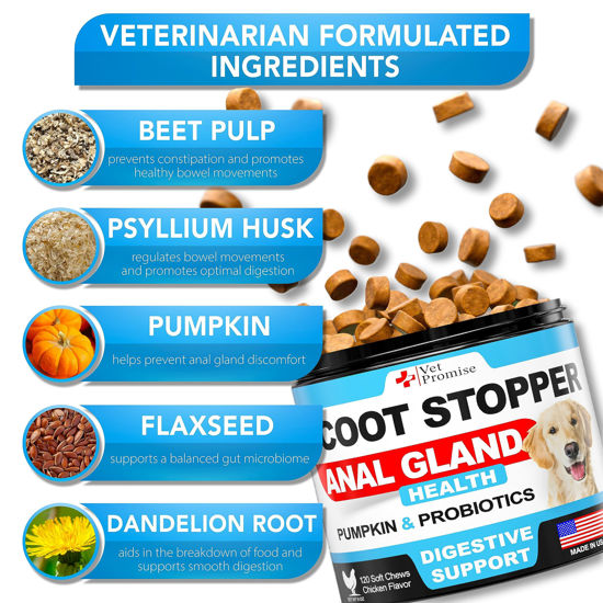 GetUSCart- Scoot Stopper - Anal Gland Support for Dogs and Bowel ...